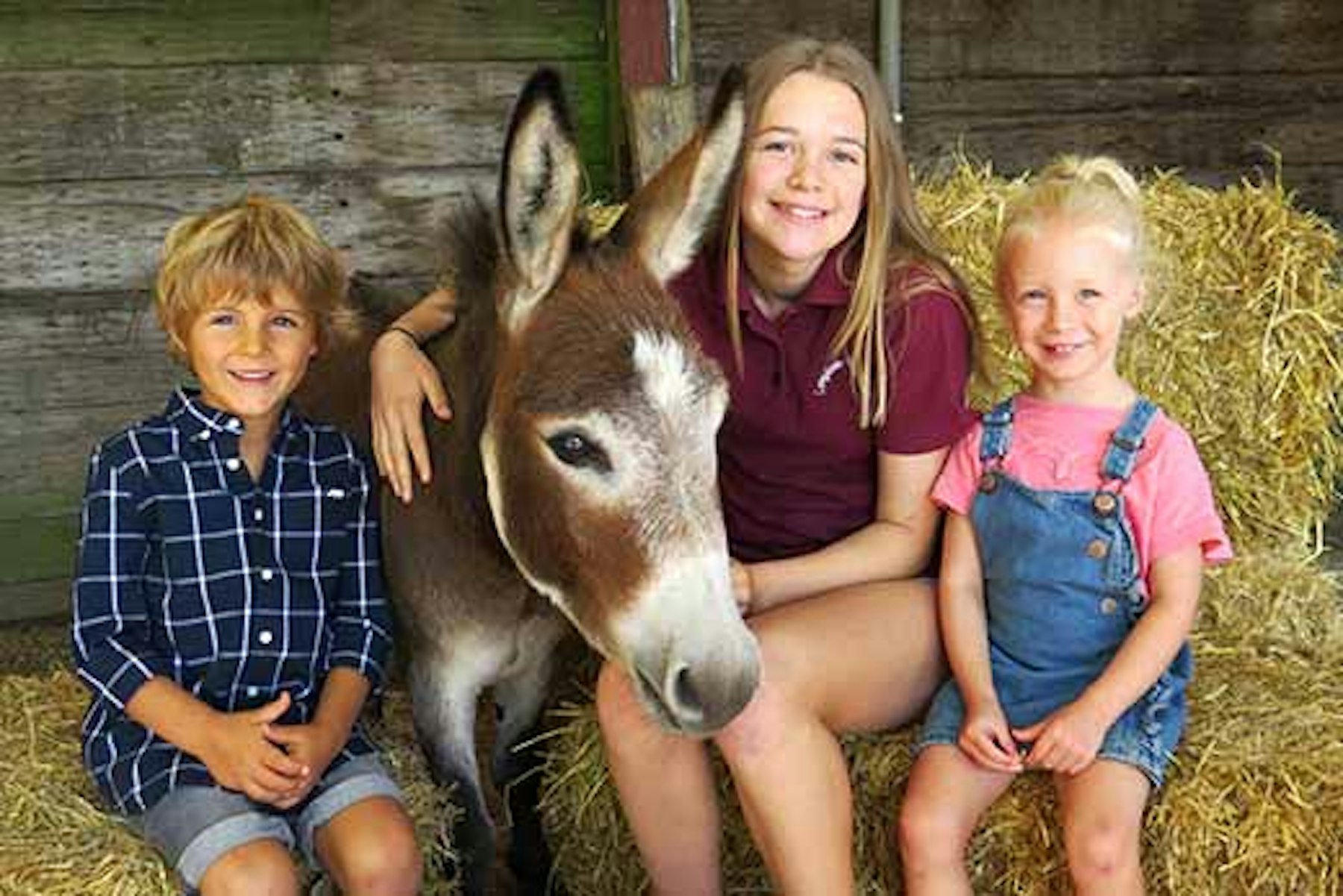 Longdown Activity Farm near Paultons Park & Peppa Pig World