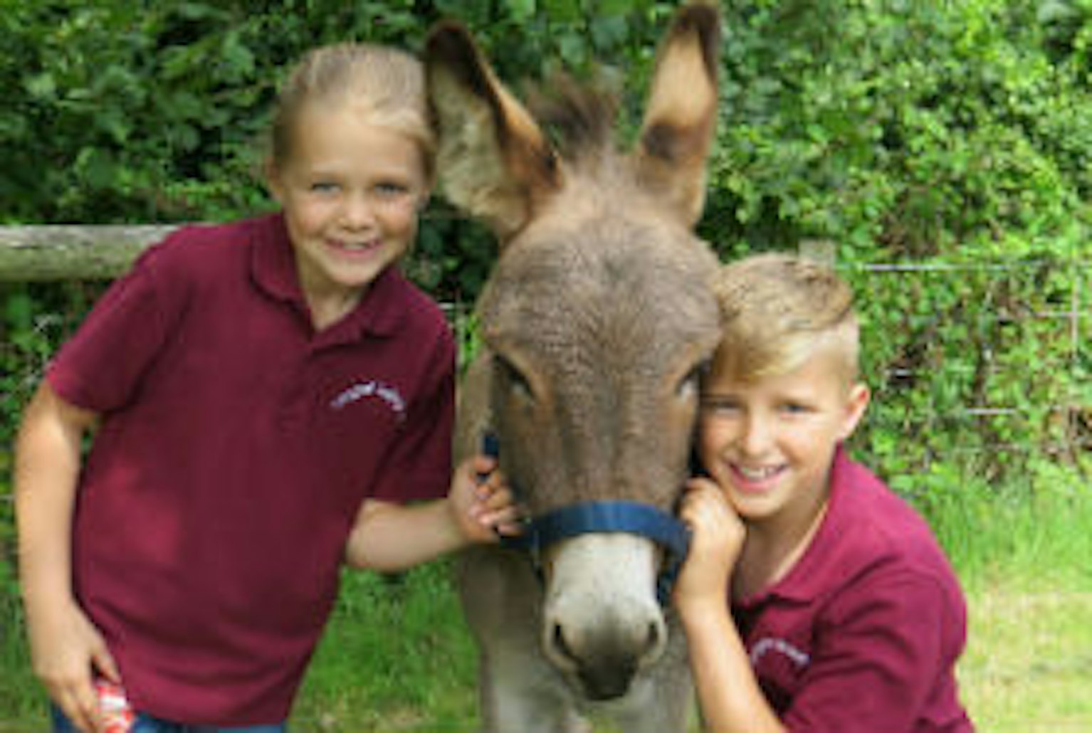 Longdown Activity Farm near Paultons Park & Peppa Pig World